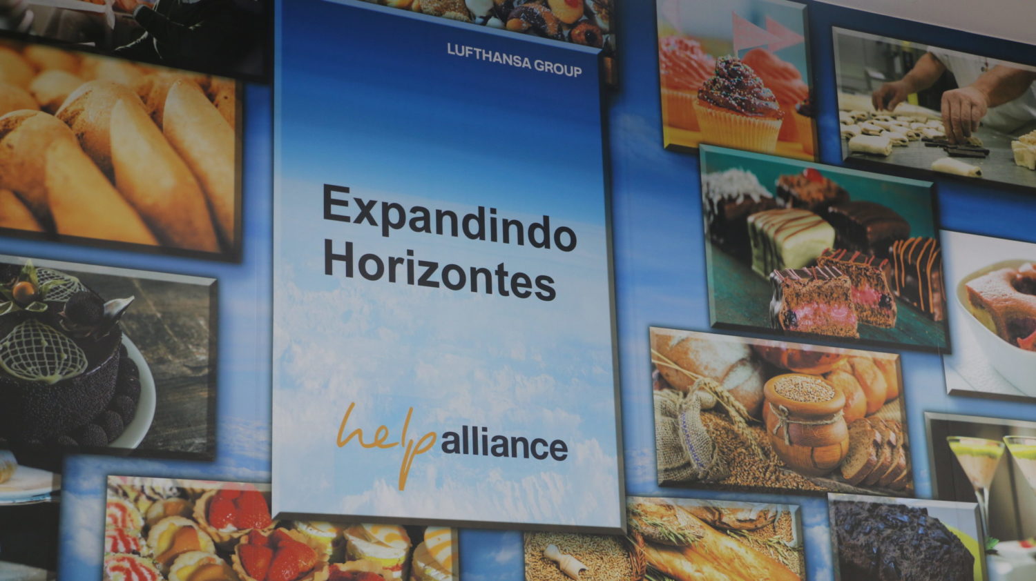 New help alliance project in Brazil - help alliance