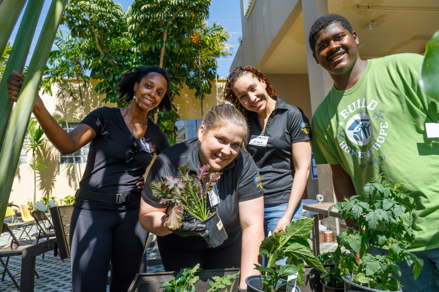 Northern America - help alliance